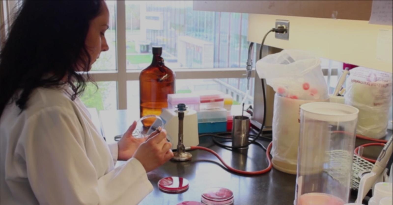 Levesque Lab - Levesque Lab website